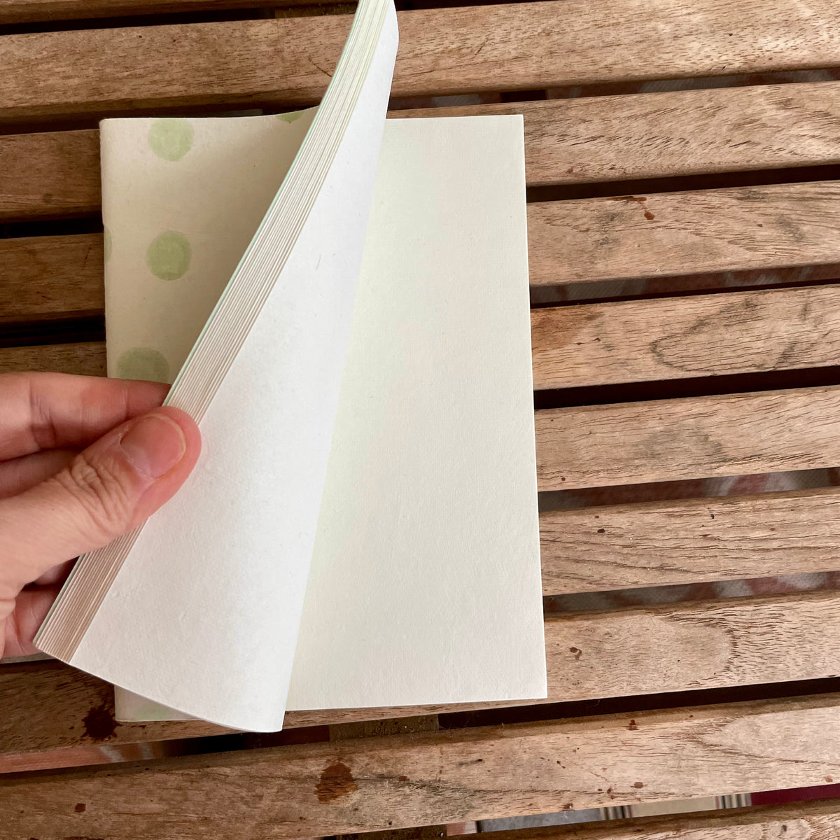 B6 Insert - Journal – Documented Journey