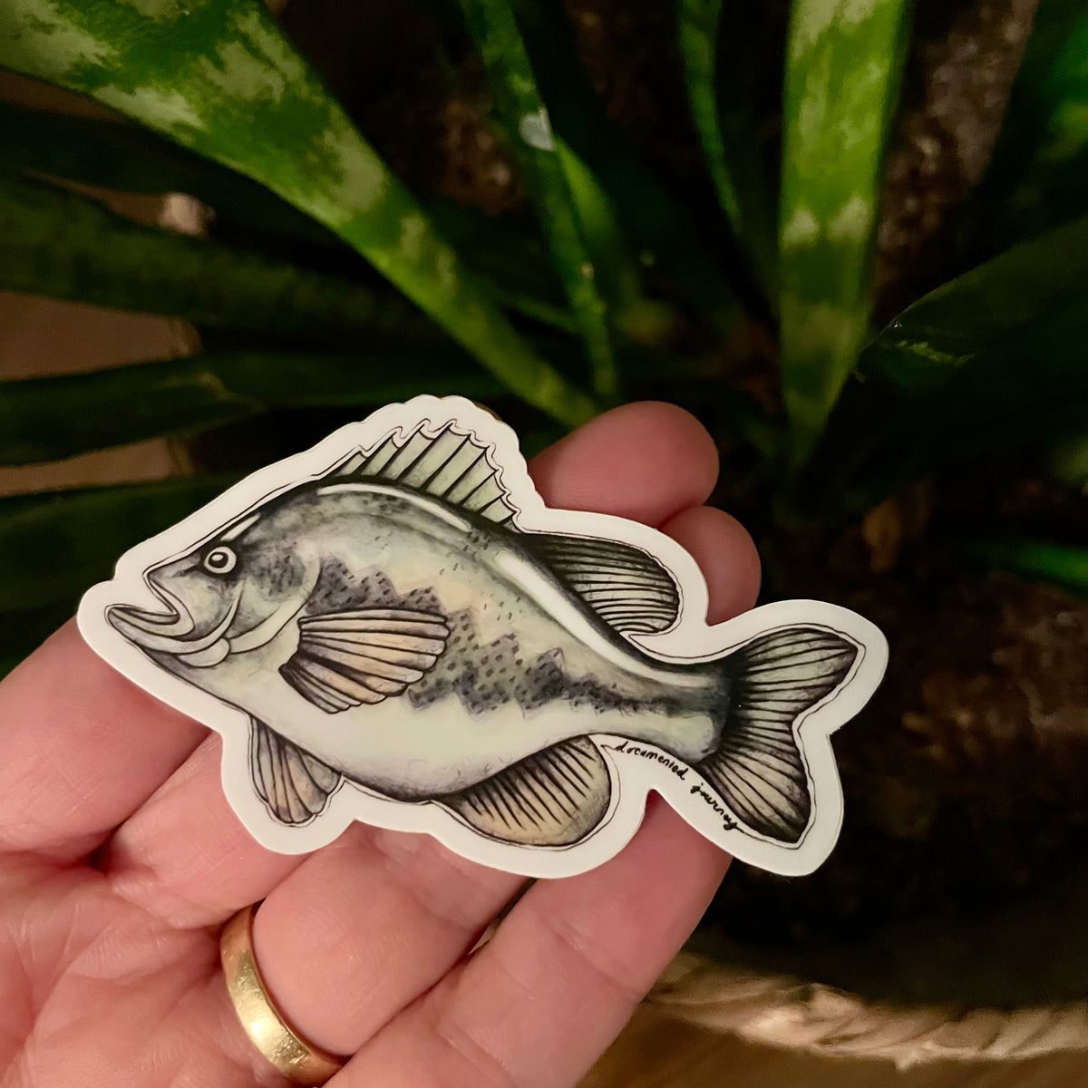 Fish - Vinyl Sticker – Documented Journey